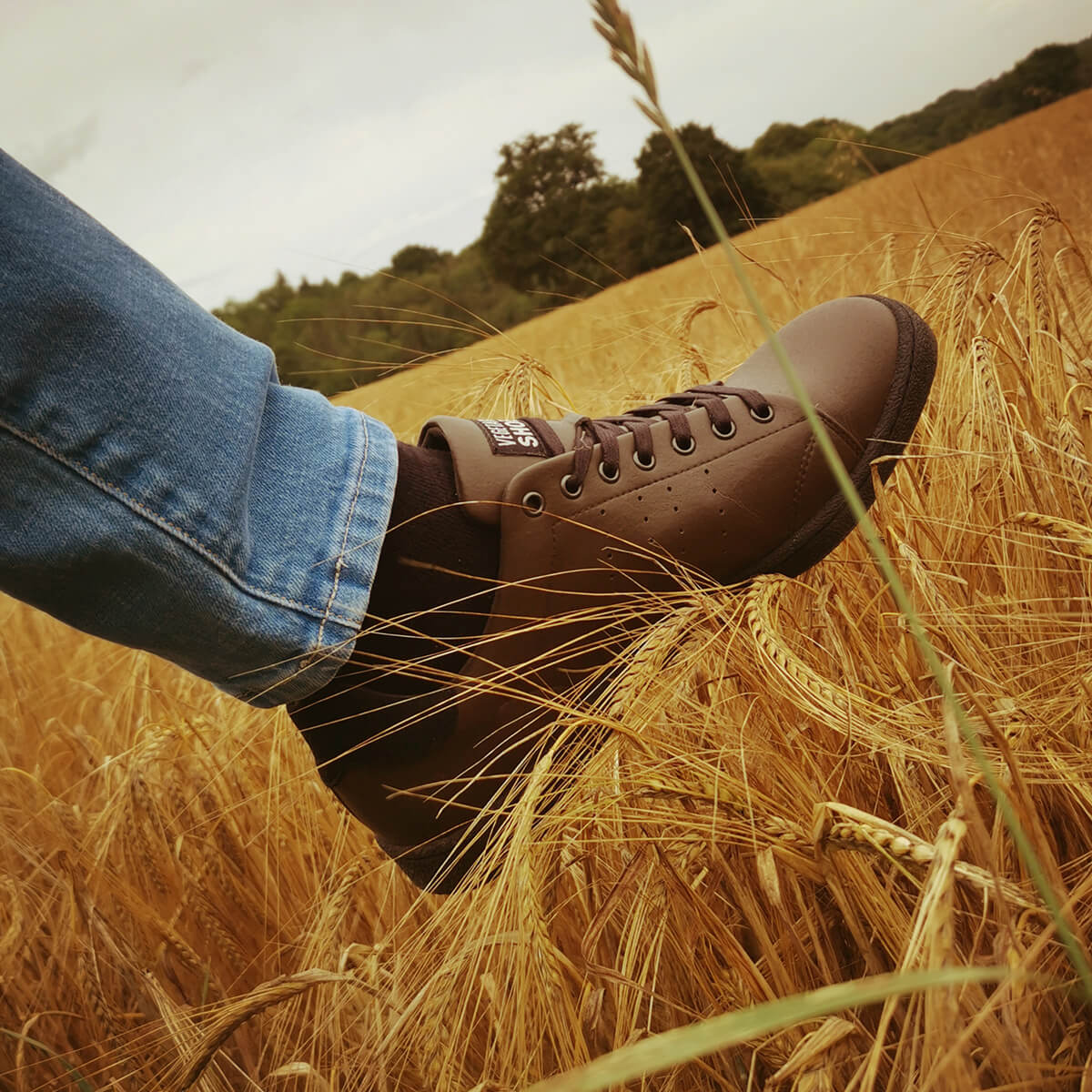 The Best 11 Brands for Sustainable Vegan Sneakers