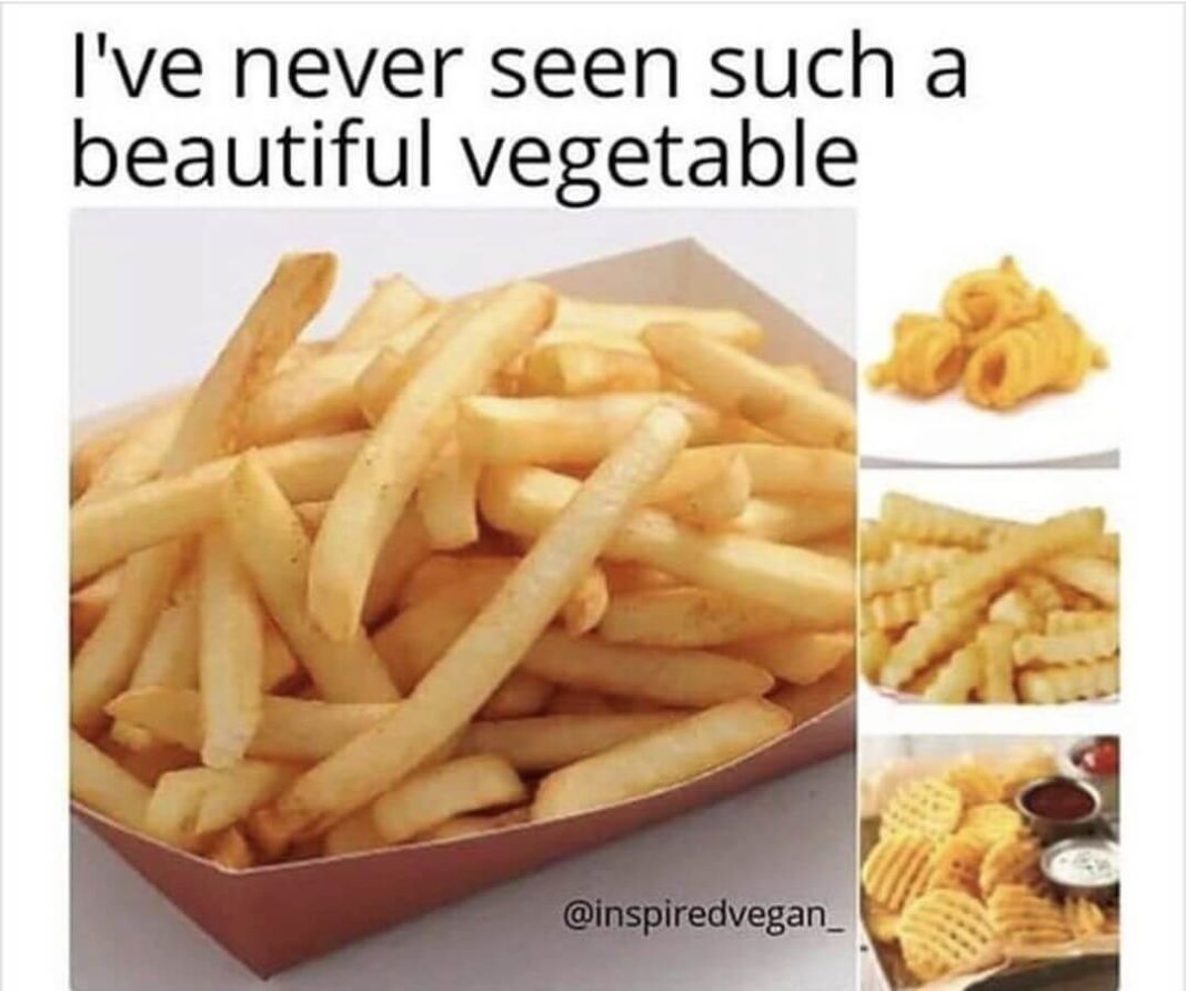 19 Vegan Memes You Can’t Unsee