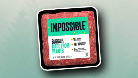 The Impossible Burger Guide for Vegan Burger Lovers