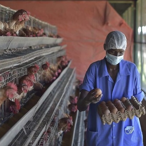 The Top 11 Plant-Based News Stories for March