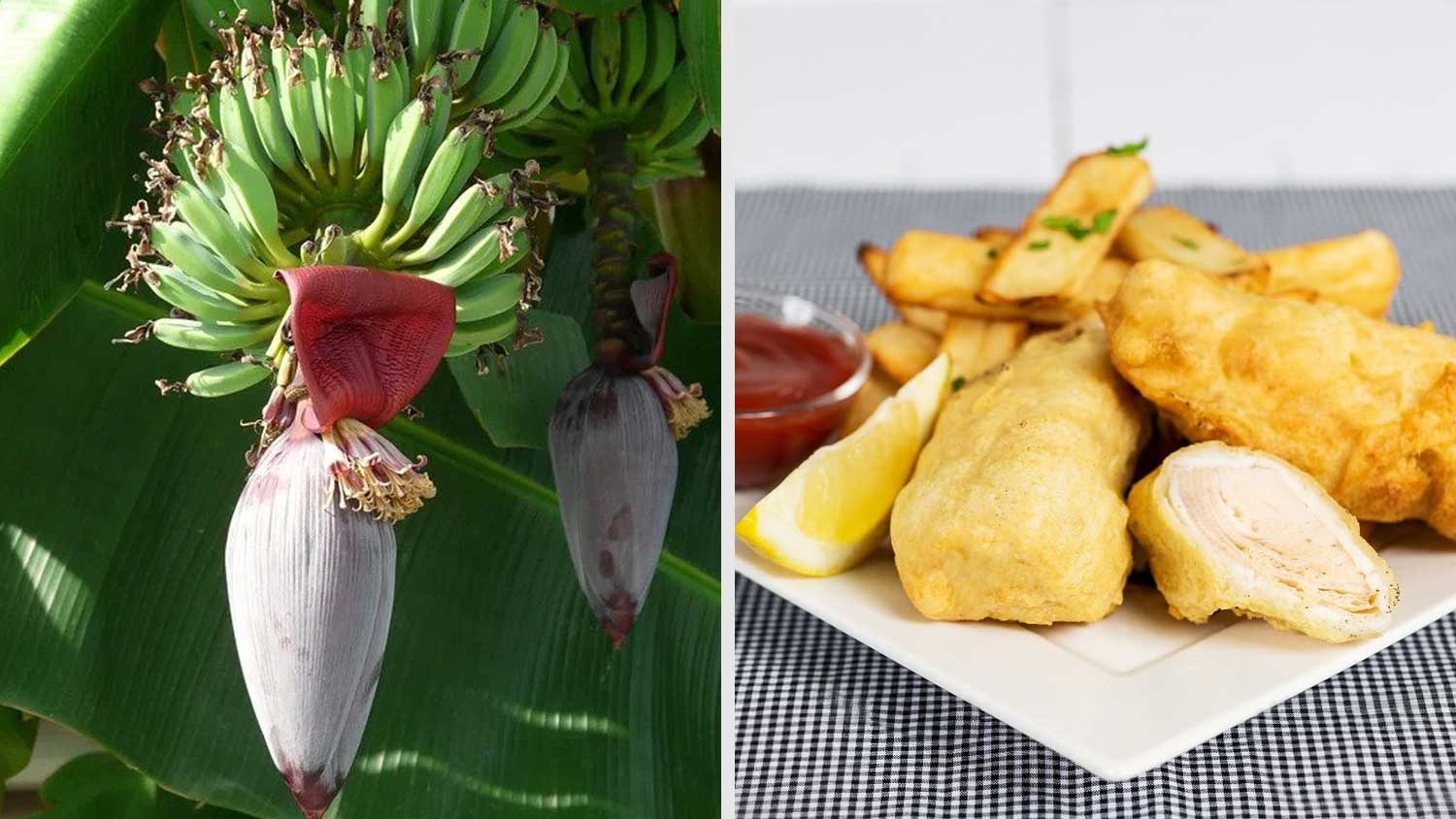 Vegan Banana Blossom Fried Fish Is Launching At All Whole Foods