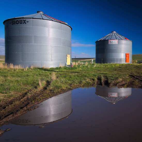 What Is Factory Farming? Everything You Need to Know