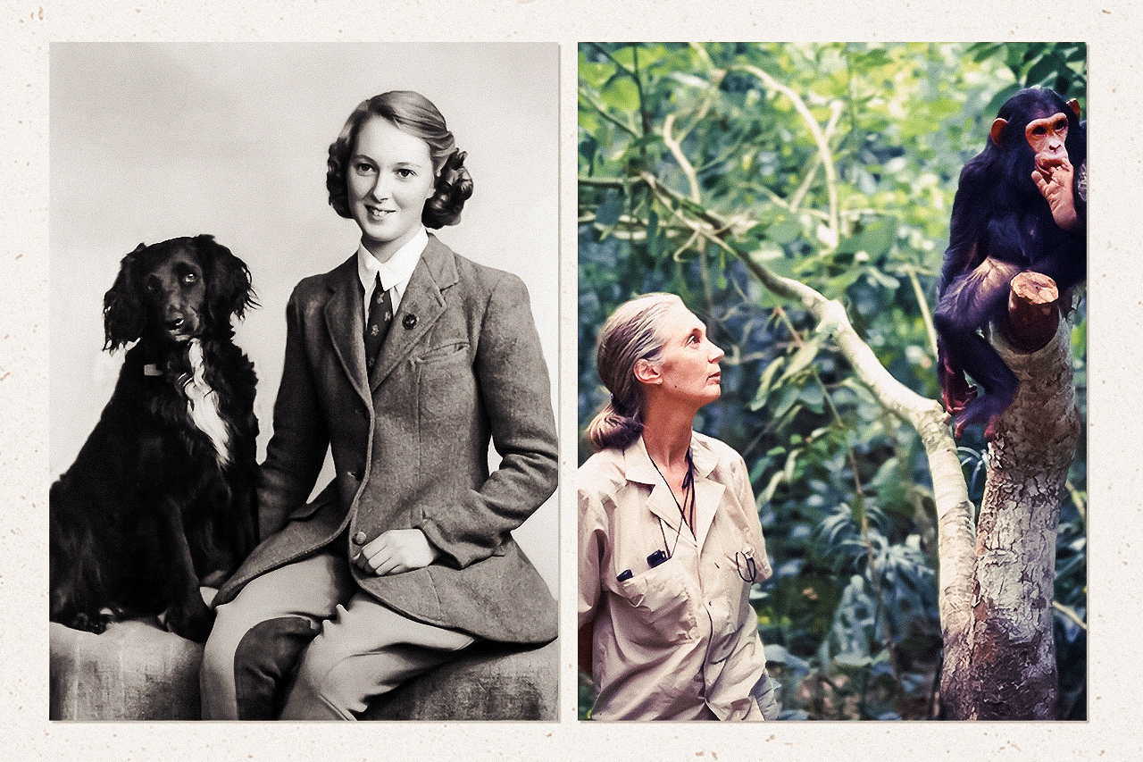 Why We're Still Fawning Over Jane Goodall After 60 Years